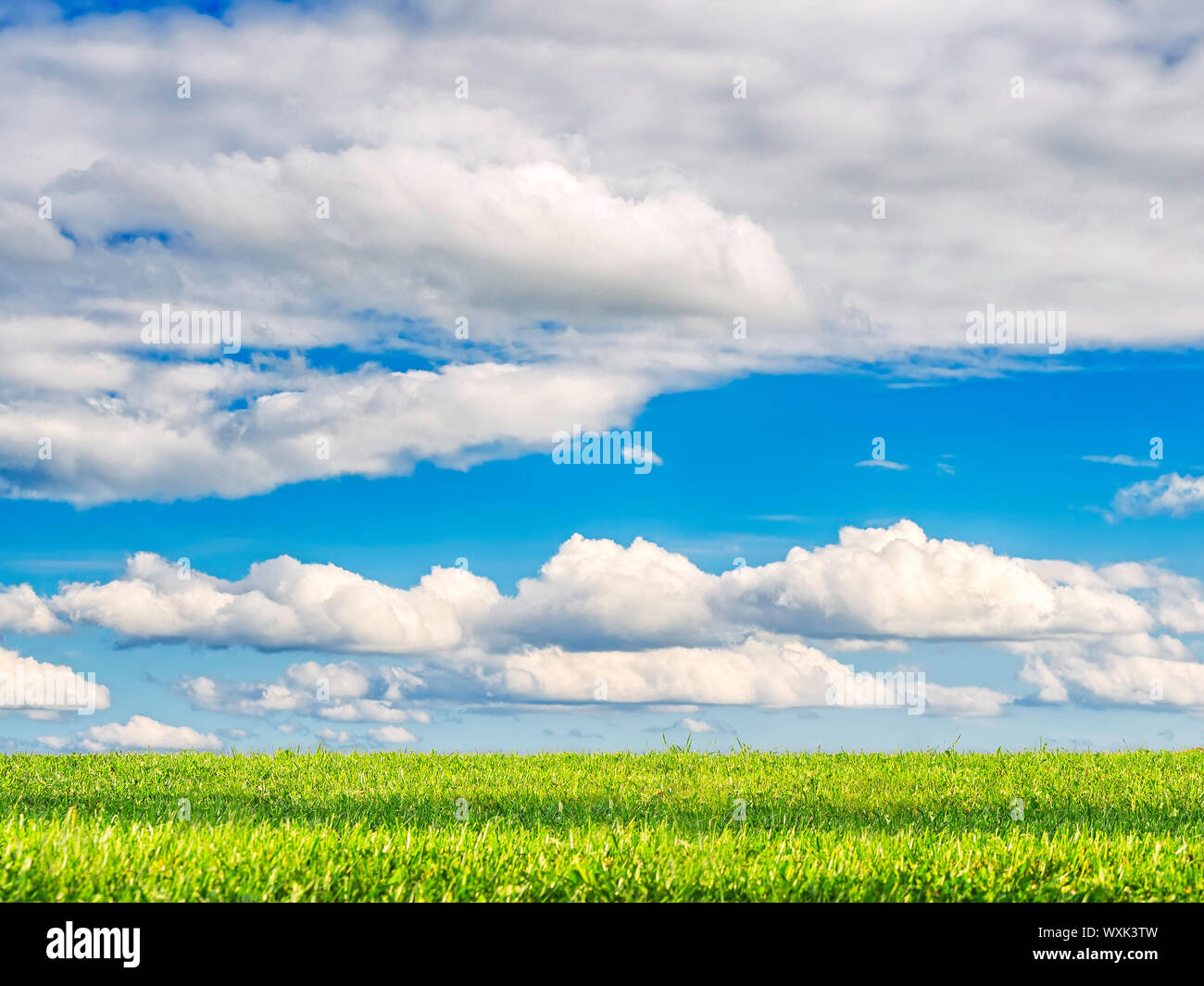 Green grass an blue sky with clouds for background Stock Photo - Alamy