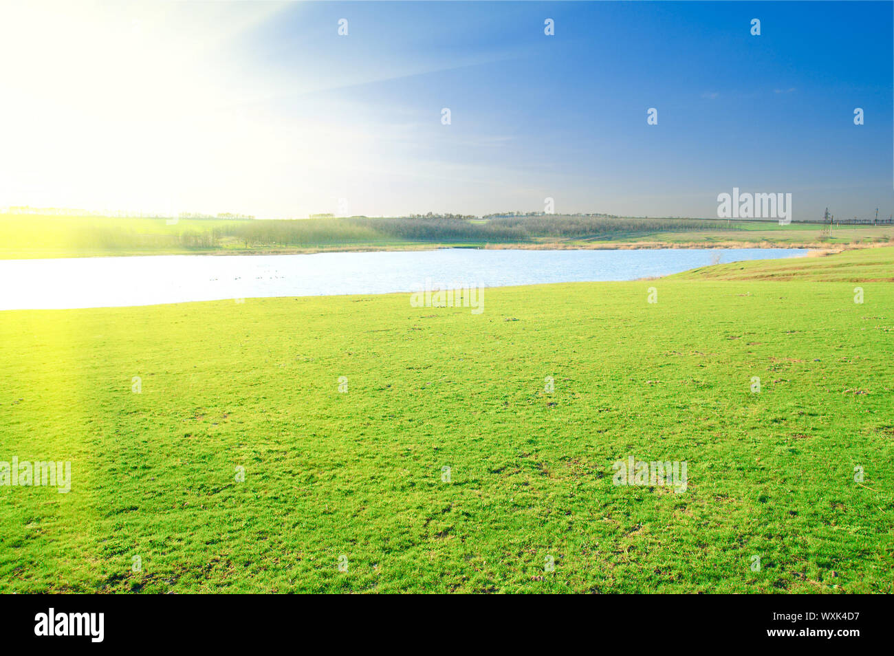 sun over pond and green grass Stock Photo - Alamy