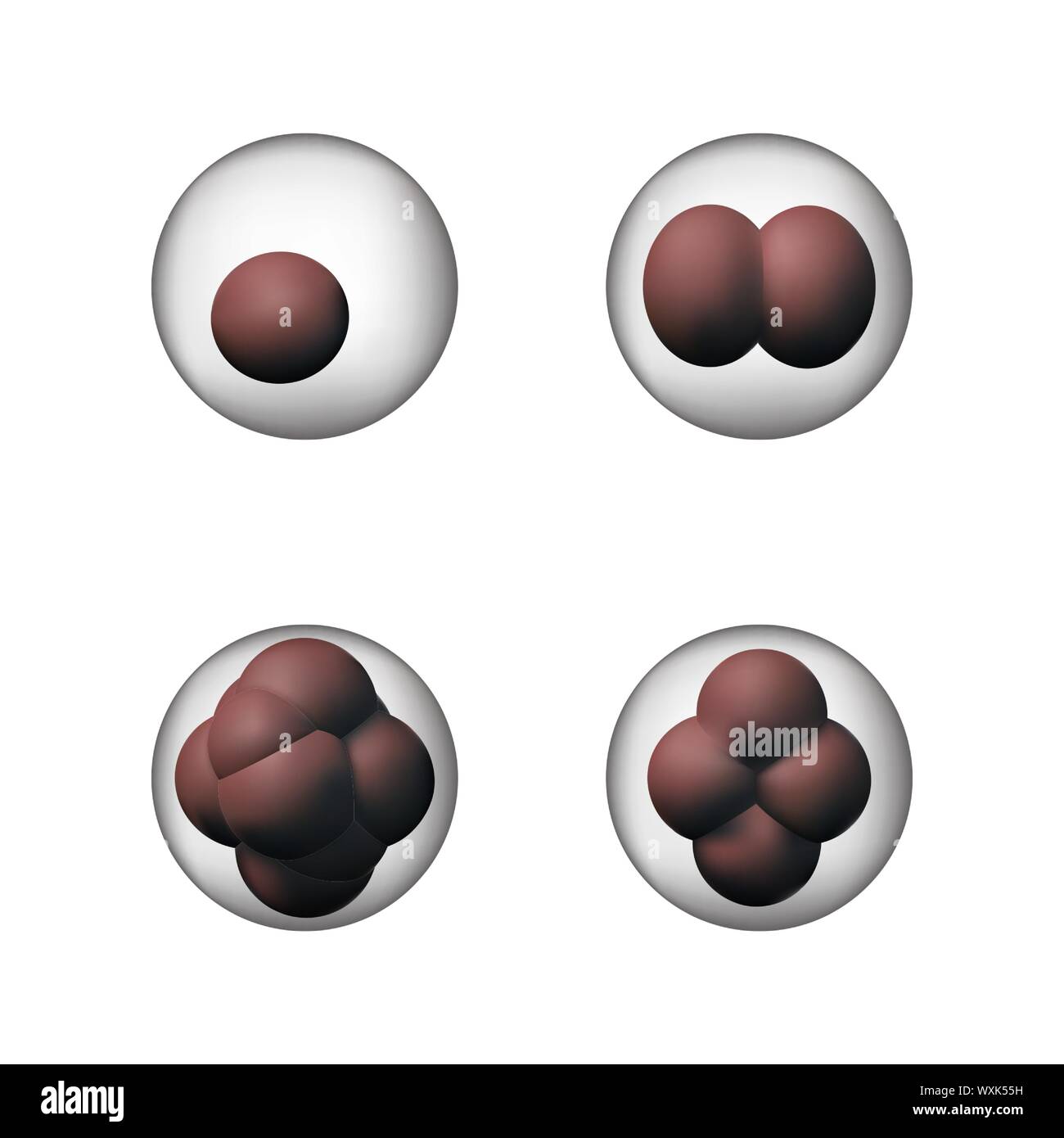 Set of biology cells. Vector illustration. Microbiology and medicine ...