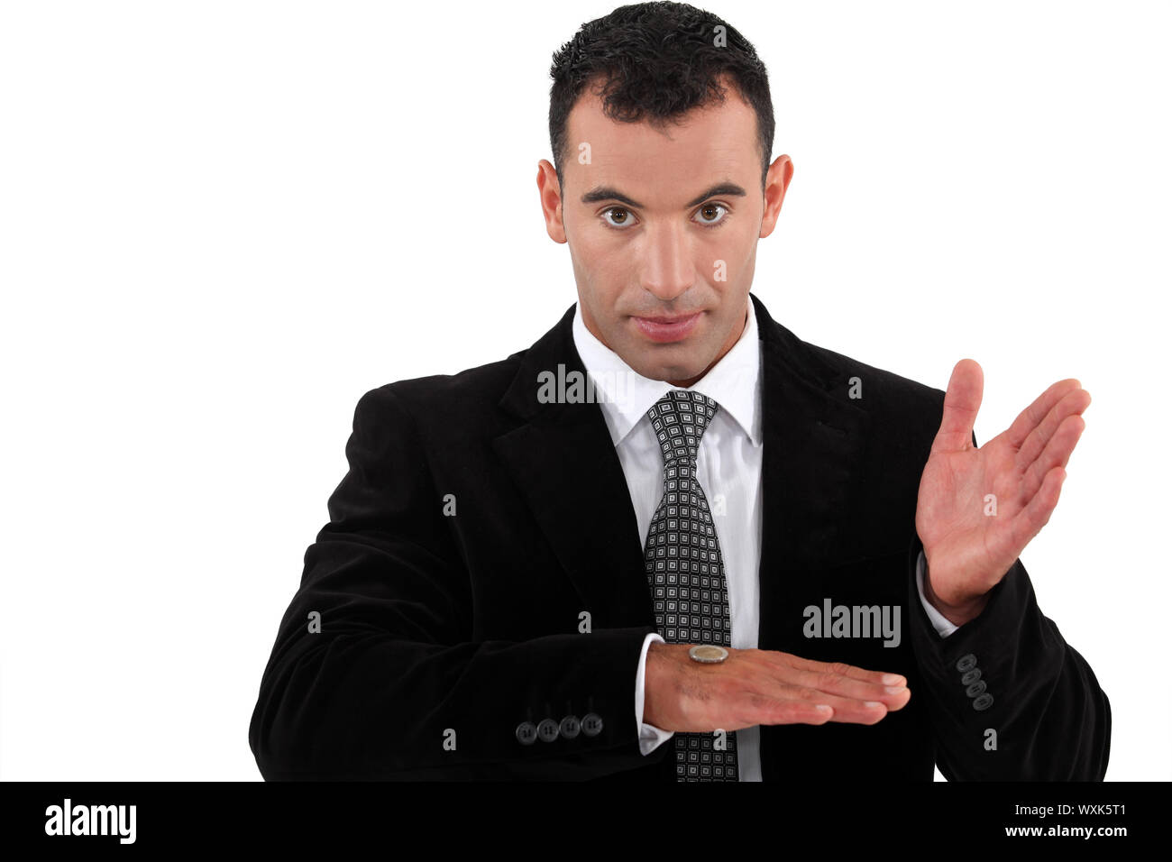 Professional Tails High Resolution Stock Photography and Images - Alamy