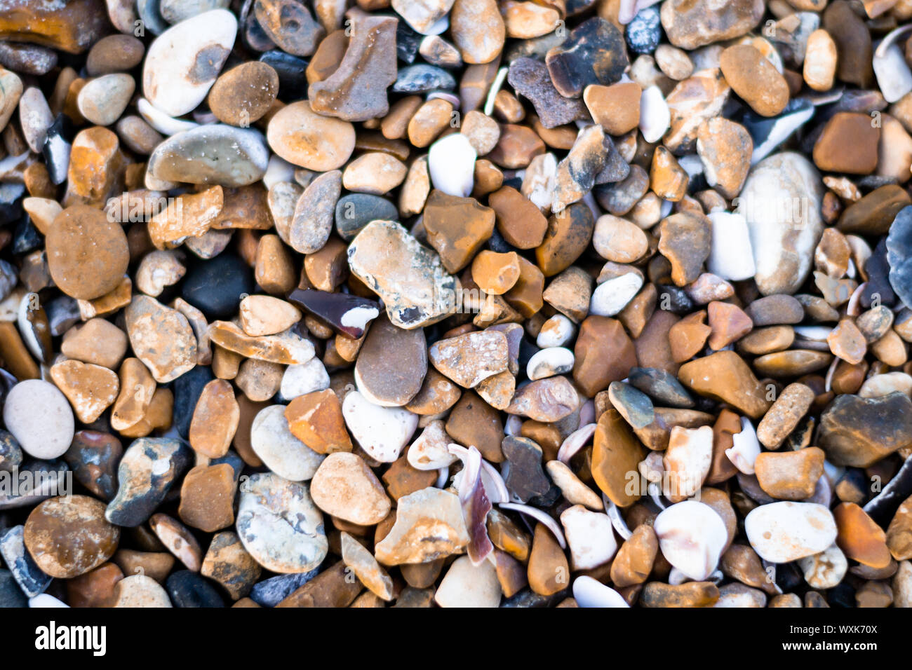 Detailed close up of pebble and rock textures Stock Photo - Alamy