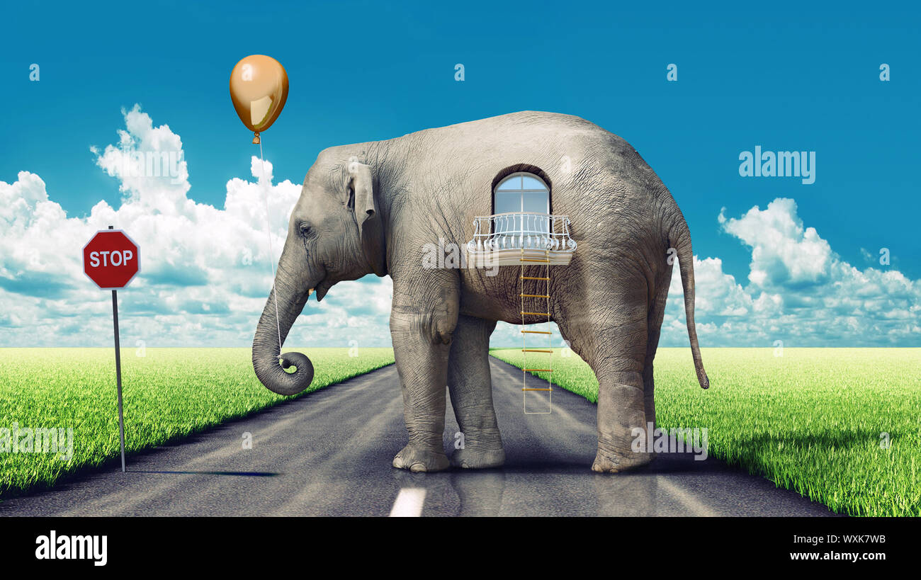 elephant as a house on the road. concept (photo and hand-drawing ...