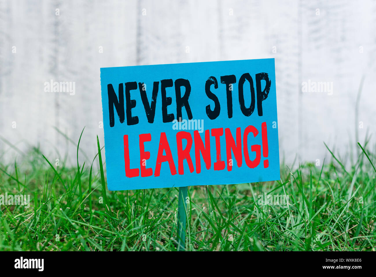 Handwriting text Never Stop Learning. Conceptual photo keep on studying ...