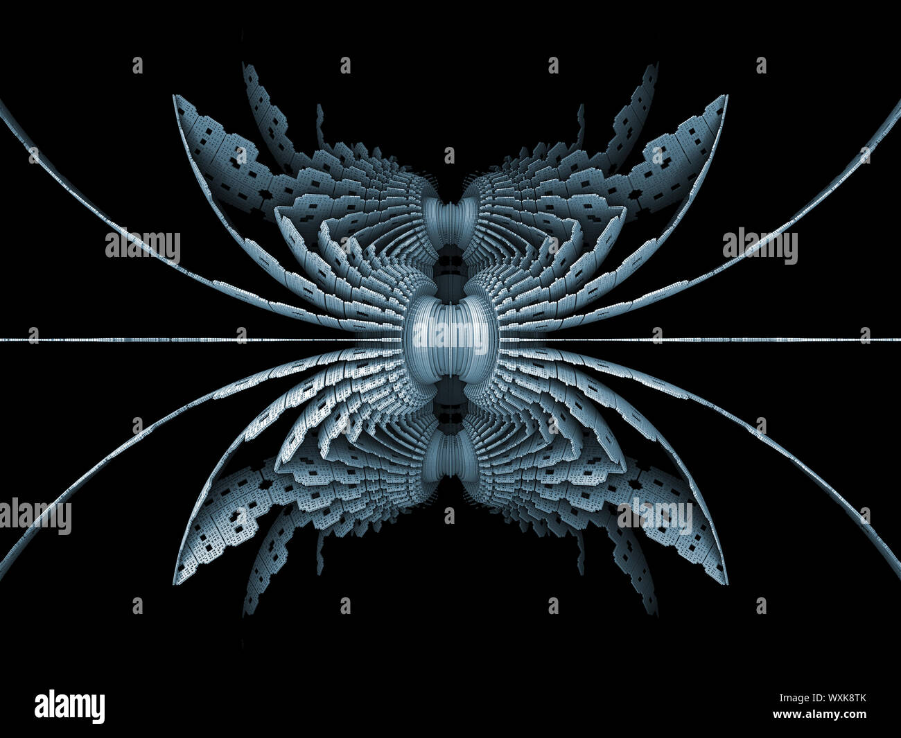 Fractal Spider series. Fractal spider element for use in projects on ...