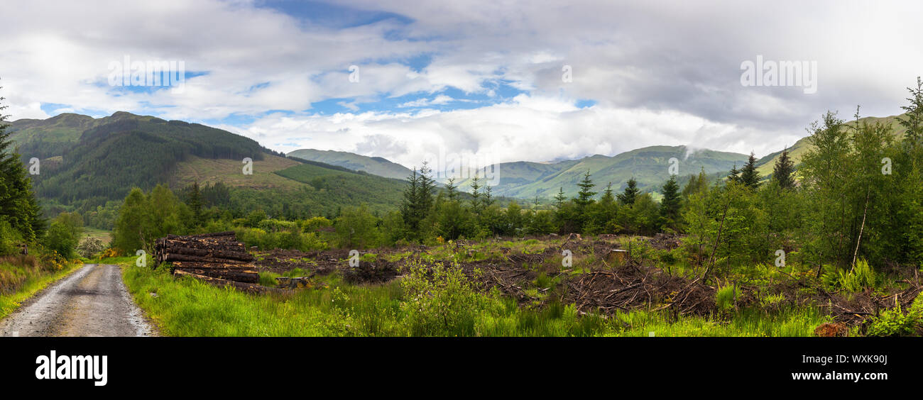 Road through rural landscape, Rob Roy Way, Scotland, United Kingdom ...