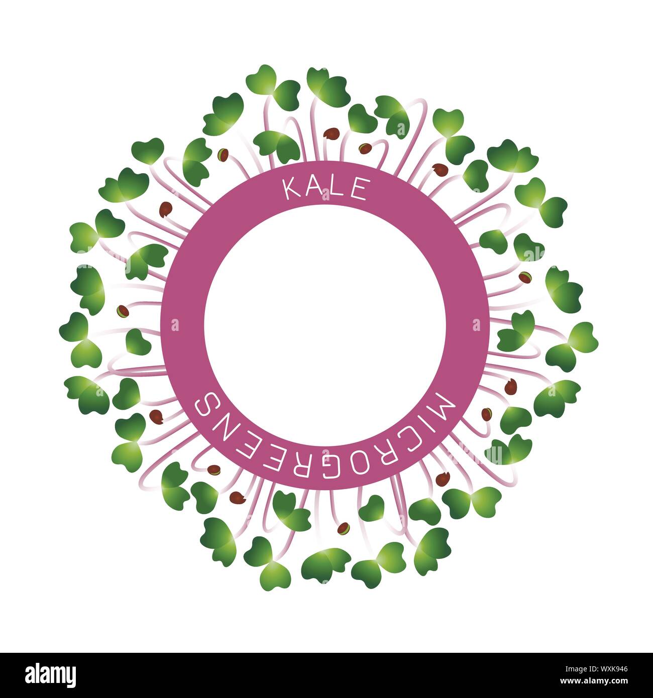 Microgreens Kale. Seed packaging design, round element in the center ...
