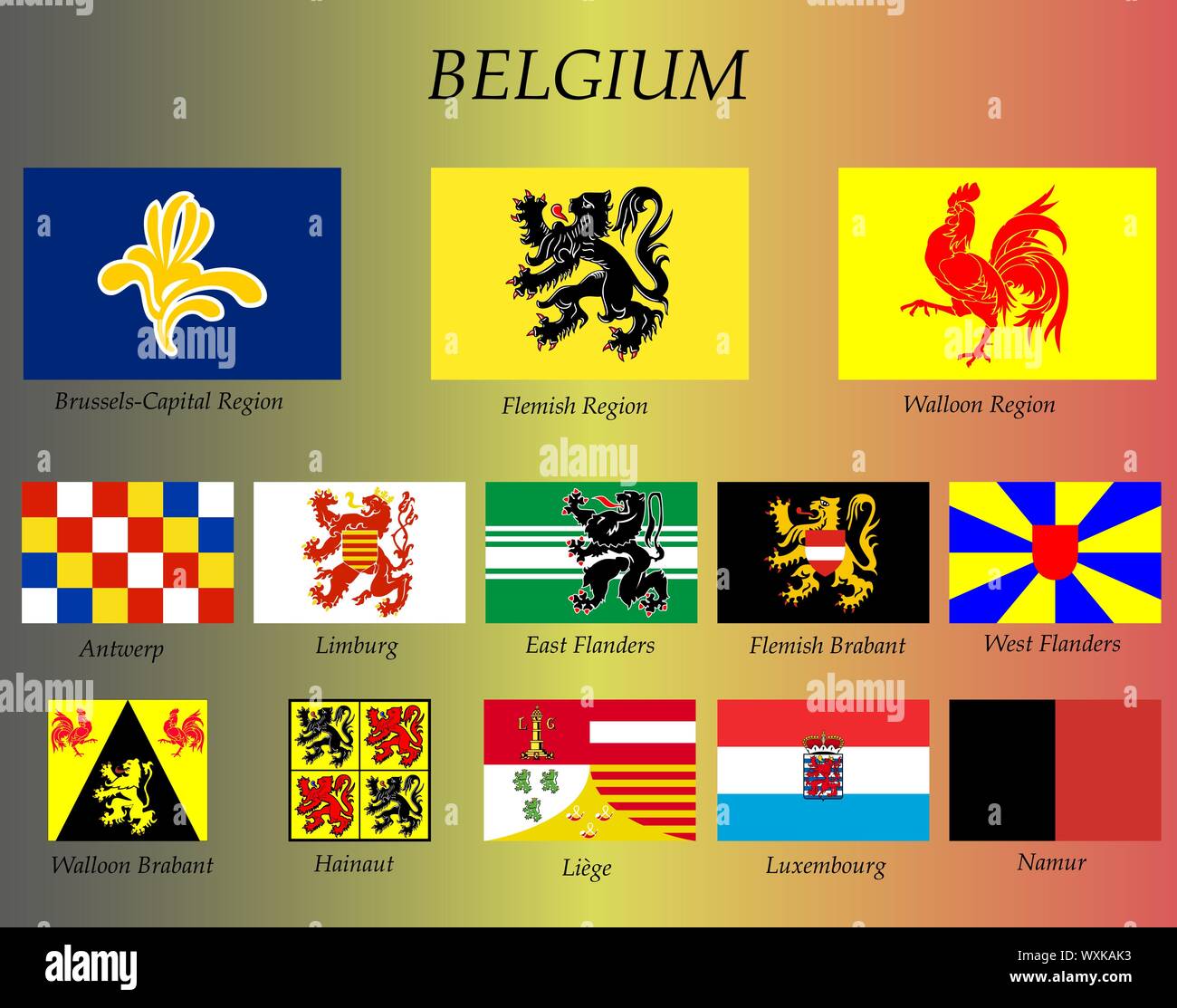 all flags of the Belgium regions. vector illustrations Stock Vector ...