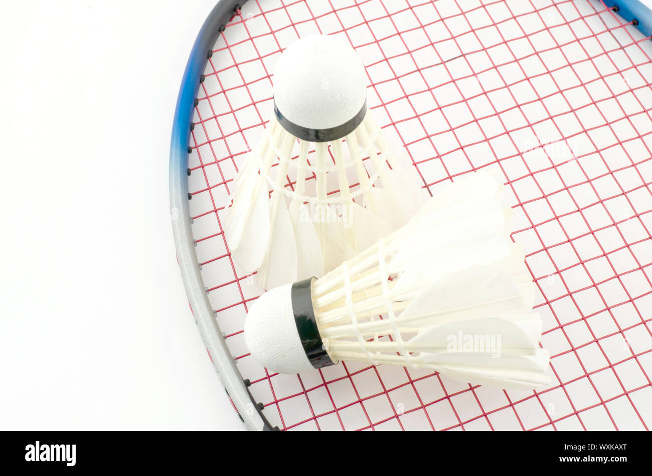 badminton isolated on white background Stock Photo - Alamy