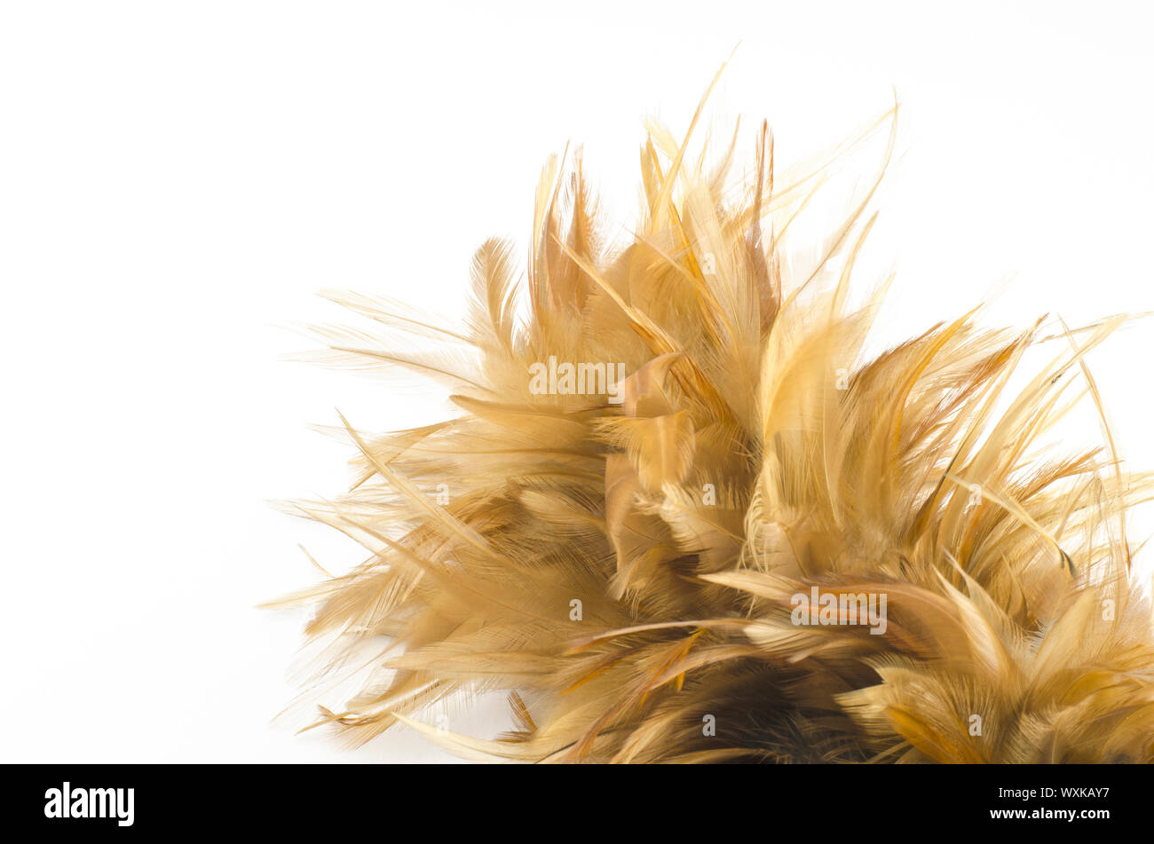 Feather broom isolated on white background Stock Photo - Alamy