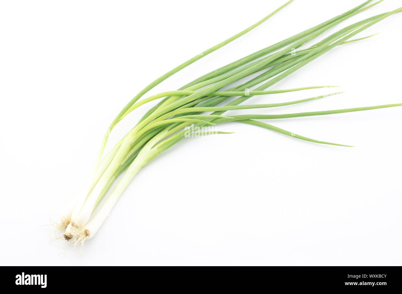 spring onion isolated on white background Stock Photo - Alamy