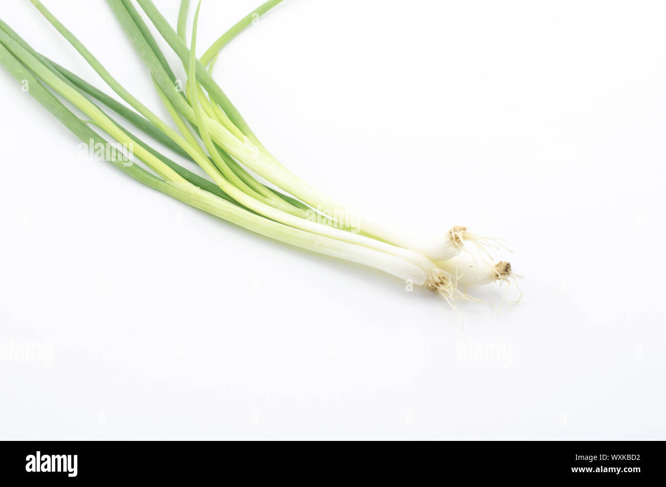 spring onion isolated on white background Stock Photo - Alamy