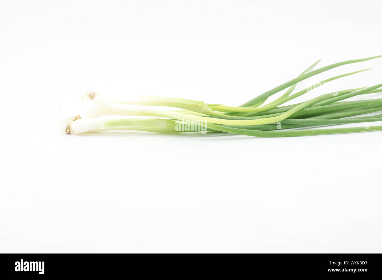 spring onion isolated on white background Stock Photo - Alamy