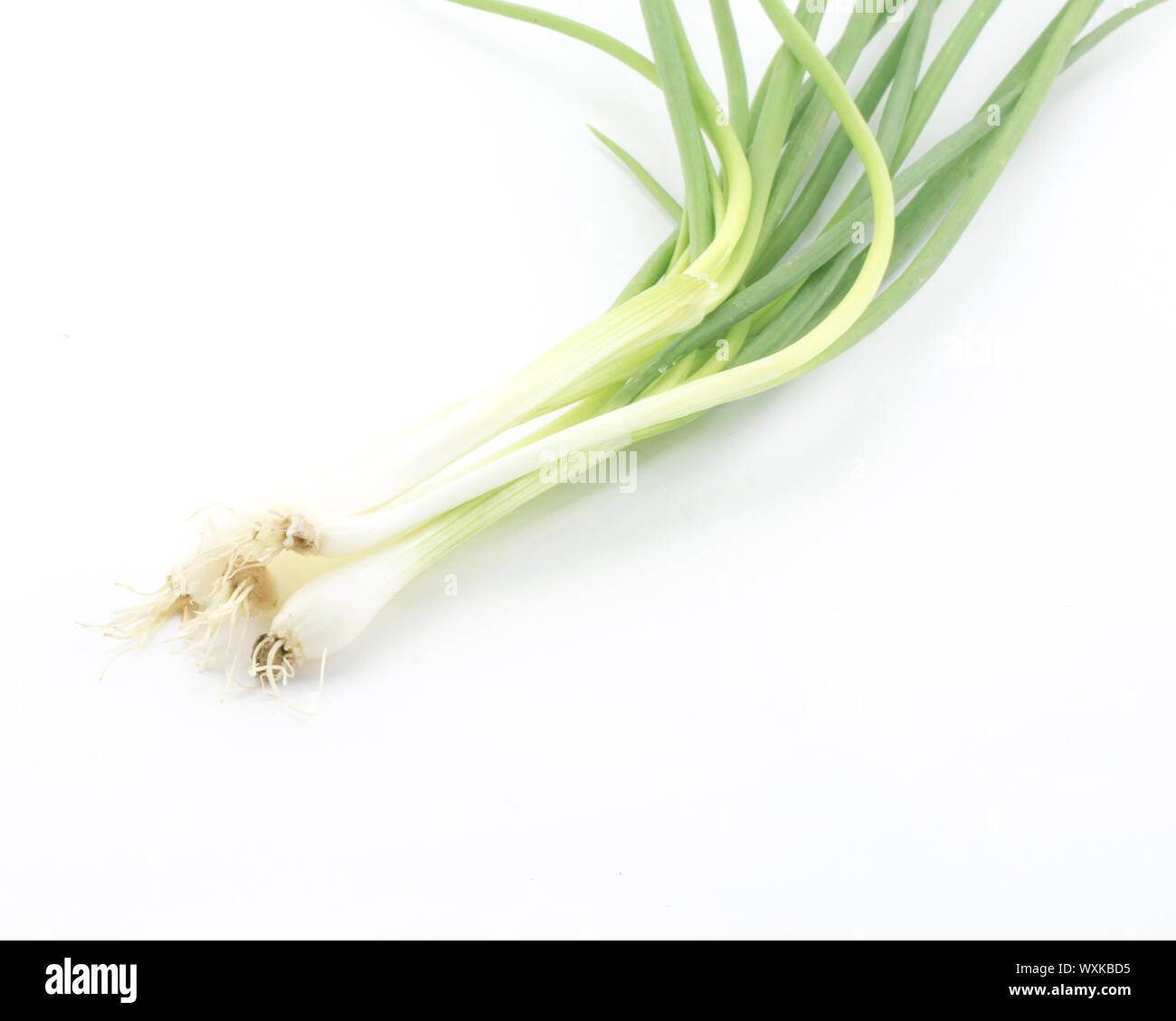 spring onion isolated on white background Stock Photo - Alamy
