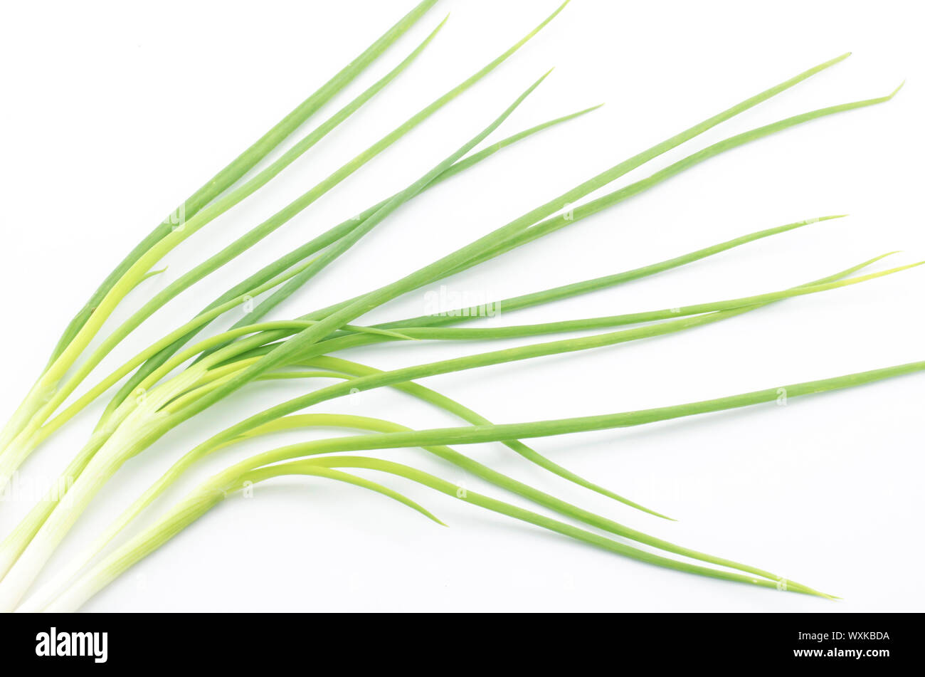 spring onion isolated on white background Stock Photo - Alamy