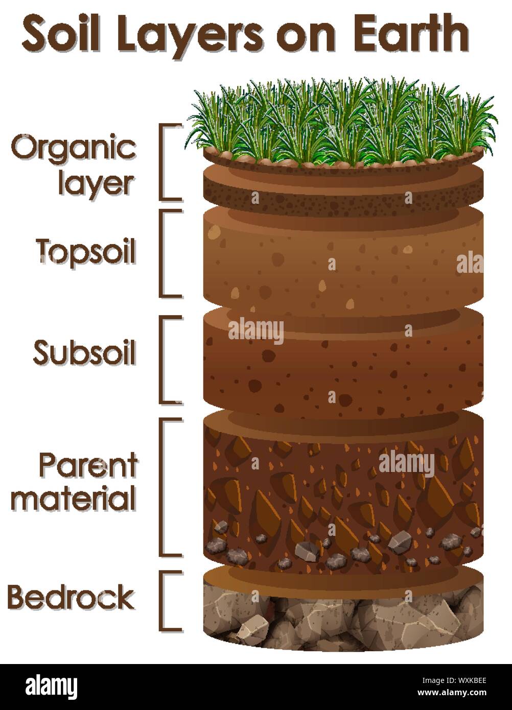 Soil Layers Drawing High Resolution Stock Photography and Images - Alamy
