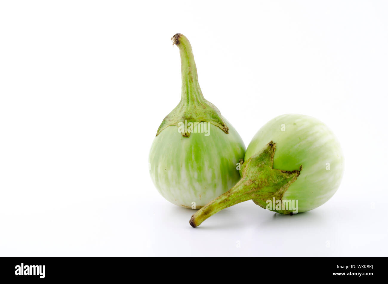 two Cockroach Berry isolated on white background Stock Photo - Alamy