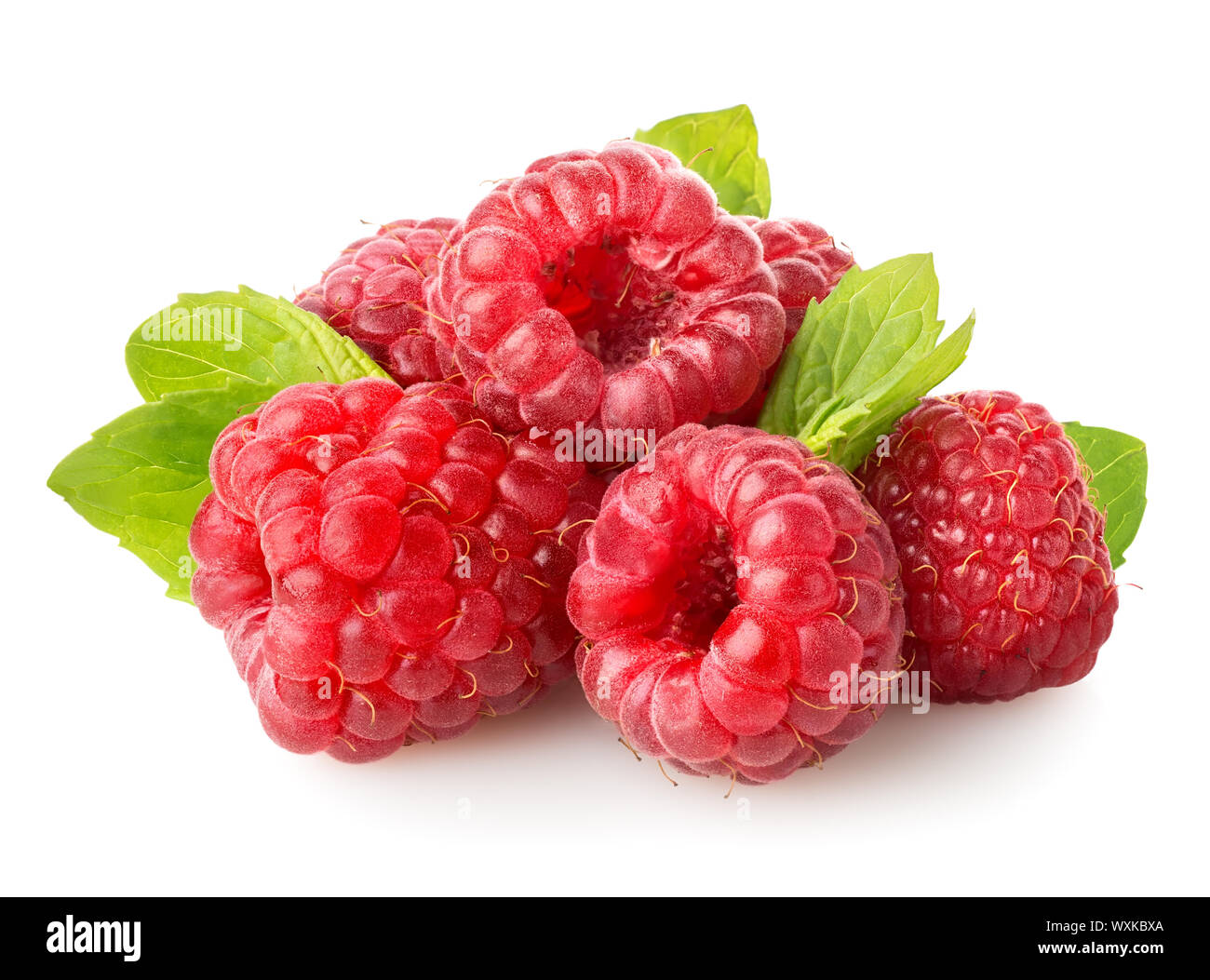 Raspberry with green leaf isolated on white Stock Photo - Alamy
