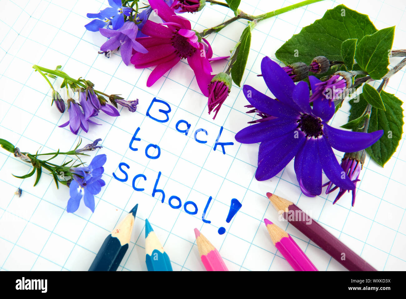 Back to school with flowers Stock Photo - Alamy