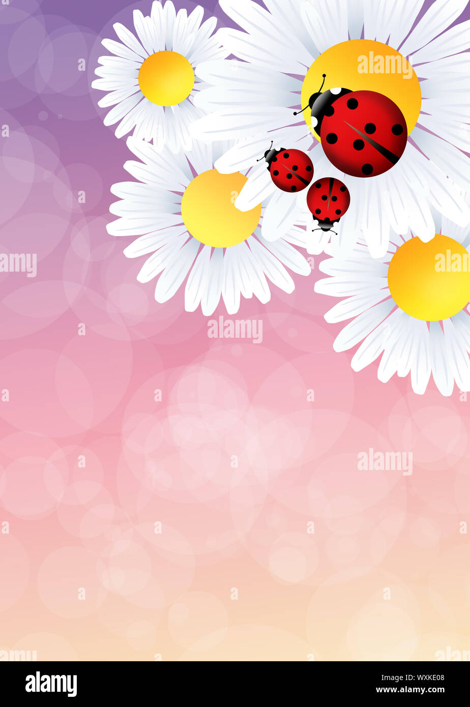 family of ladybugs Stock Photo - Alamy