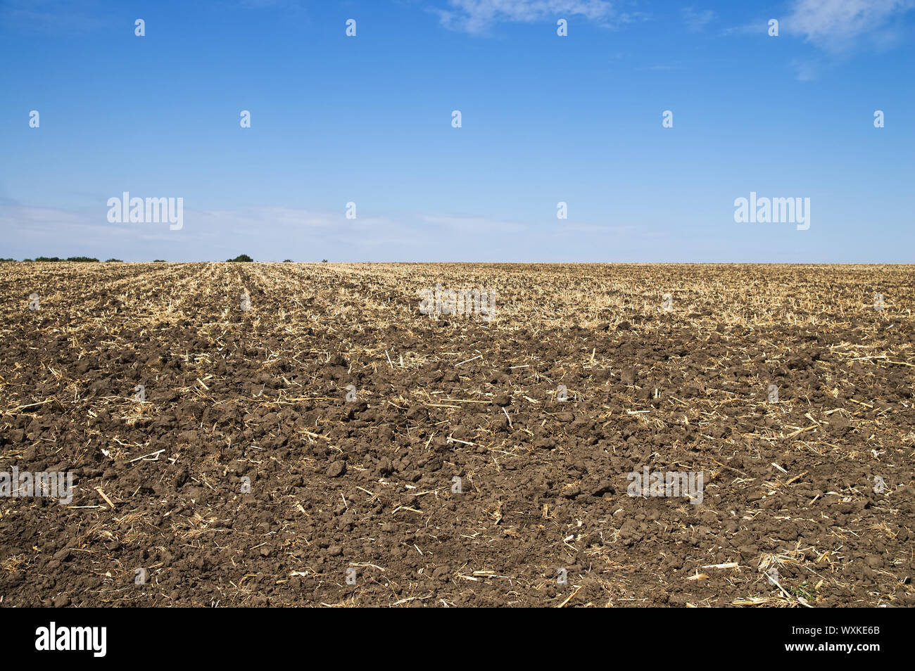 Straw stubble plow soil hi-res stock photography and images - Alamy
