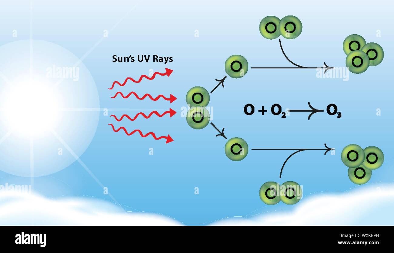 Diagram showing sun ray illustration Stock Vector Image & Art - Alamy