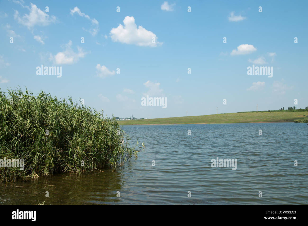 cane and water Stock Photo - Alamy
