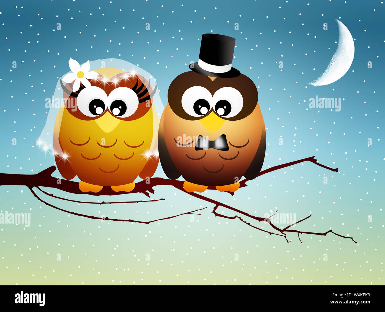 Owls in love Stock Photo - Alamy