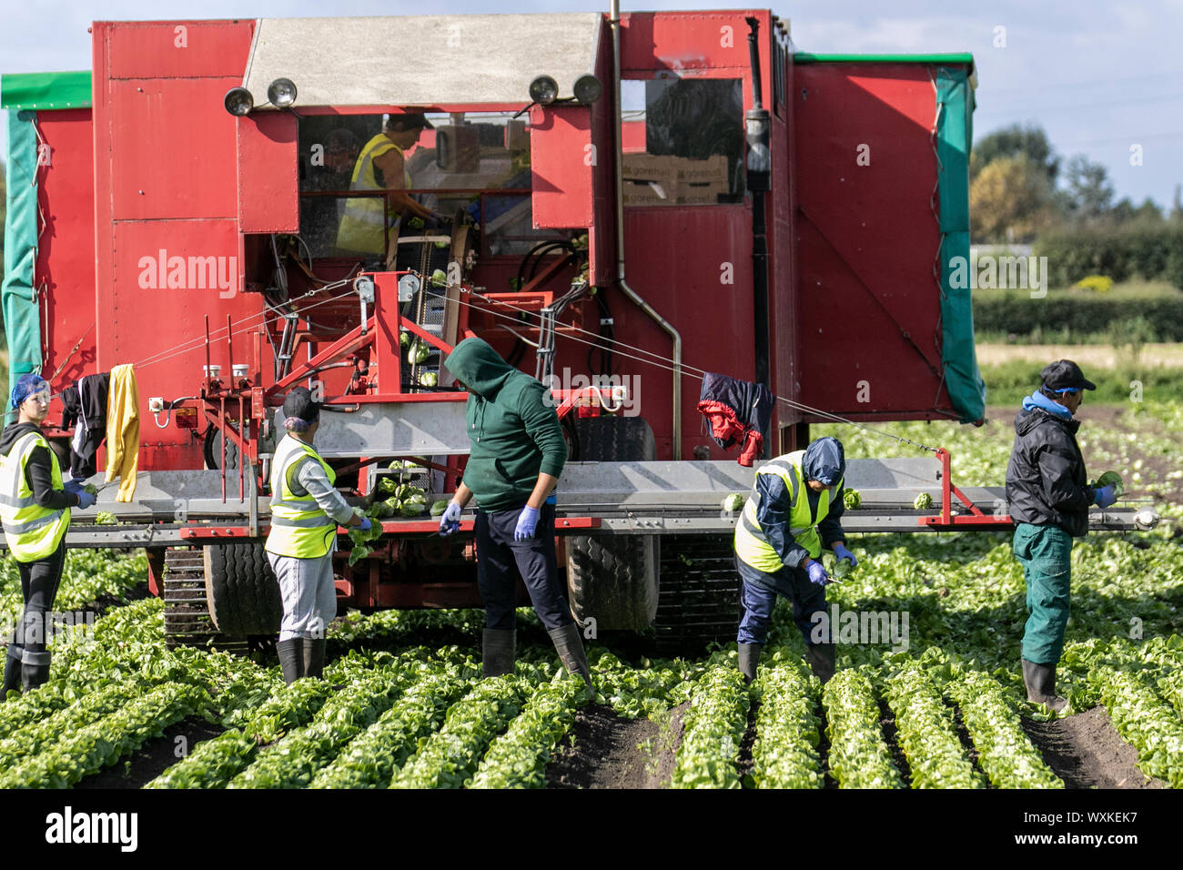 Labour Intensive High Resolution Stock Photography and Images - Alamy