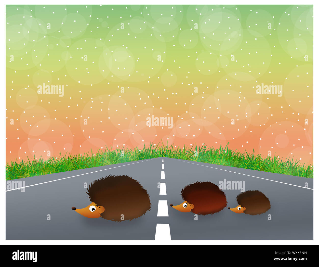 Garden hedge car Cut Out Stock Images & Pictures - Alamy