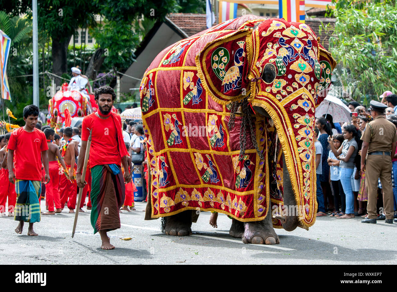 Sri Lankan Elephant Parade