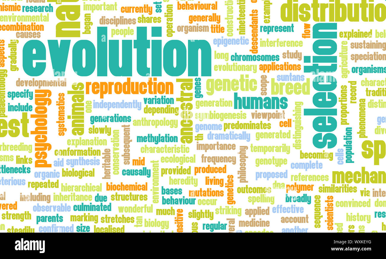 Evolution and Progress of Man as a Concept in 3d Stock Photo - Alamy