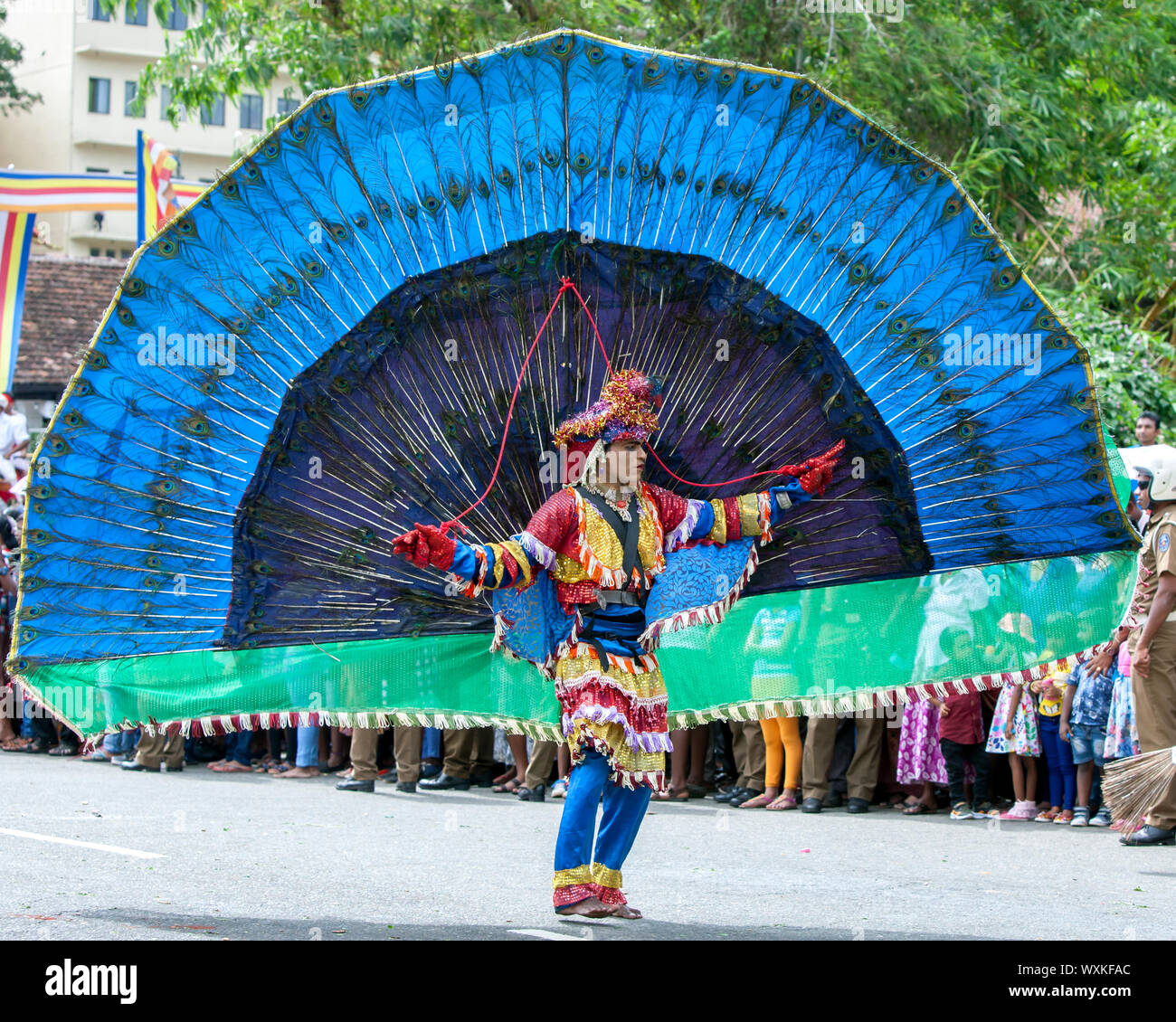 A Peacock Dancer performs along a street in Kandy during the Buddhist ...