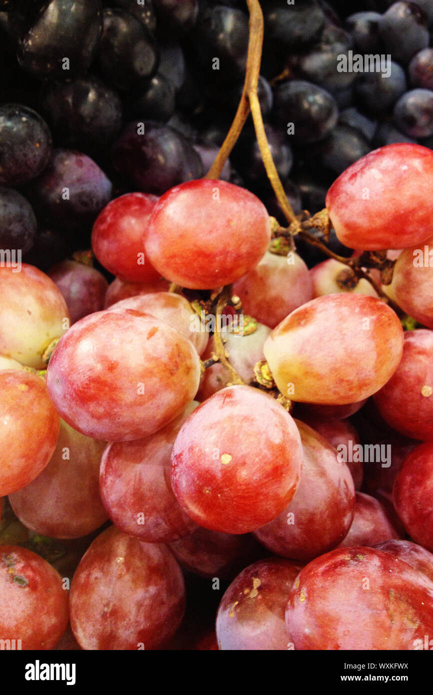 Grape stem hi-res stock photography and images - Alamy