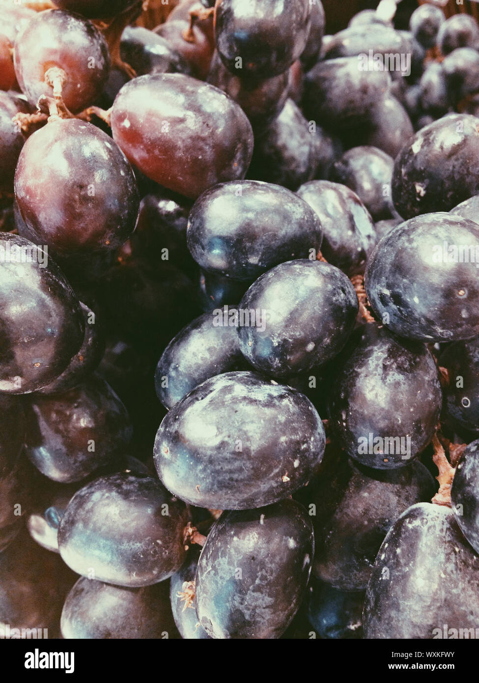 Grape stem hi-res stock photography and images - Alamy