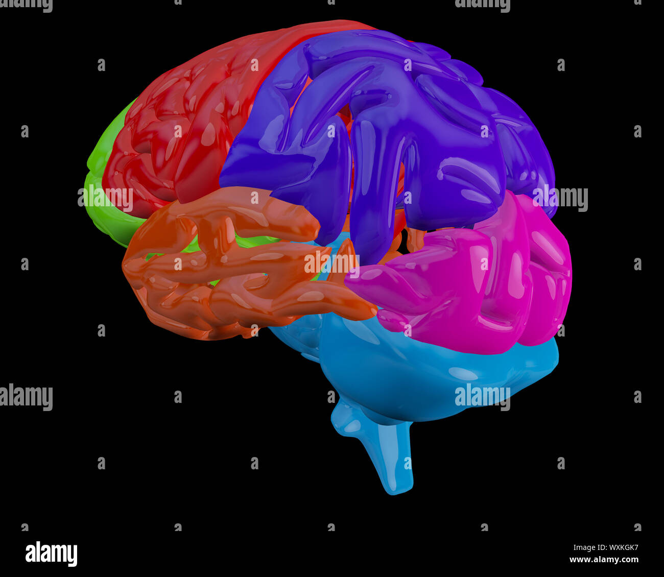 Brain with highlighted sections on black background Stock Photo - Alamy