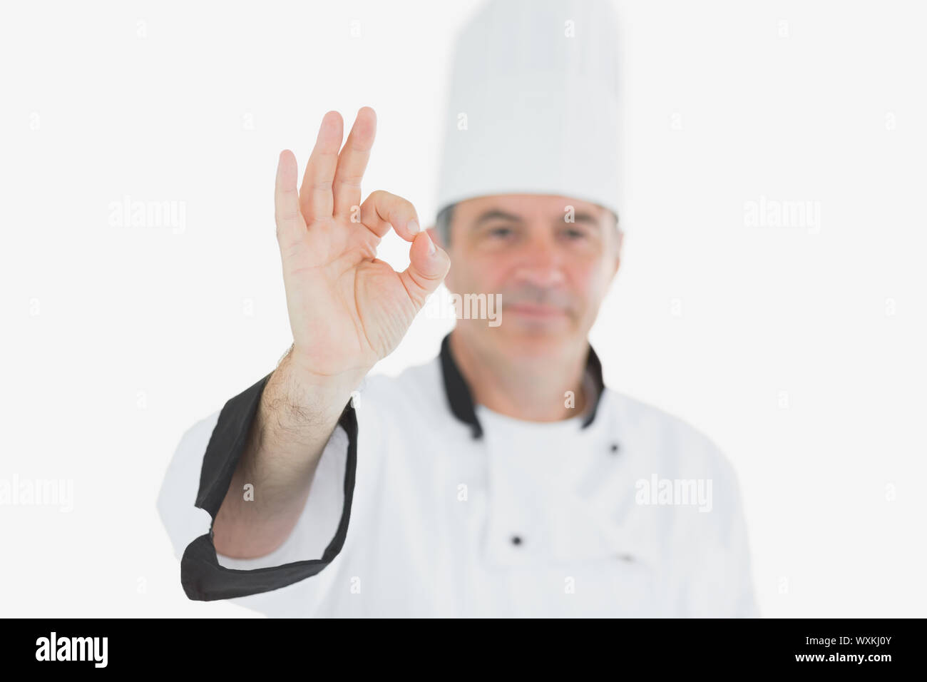 Portrait of chef showing ok sign against white background Stock Photo ...