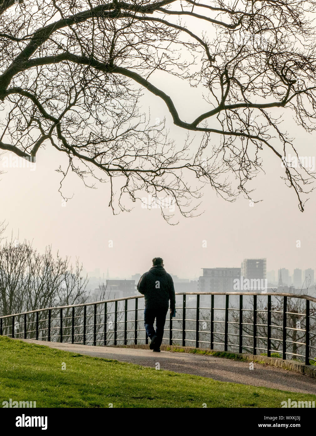 Black people walking in nature england hi-res stock photography and ...