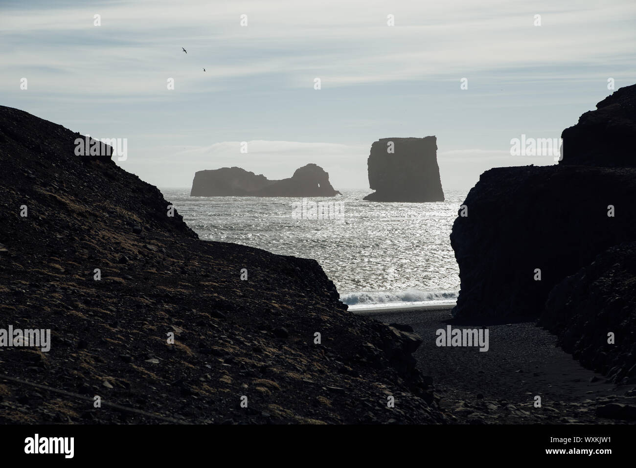 Black sand beach with cliffs, Iceland Stock Photo - Alamy