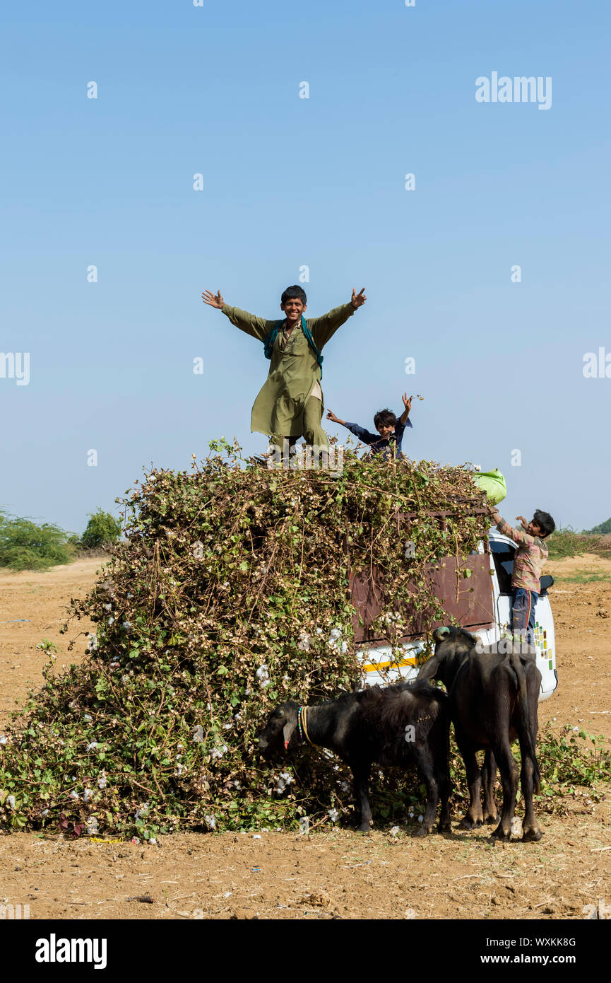 Dhaneta jat man and kids on a truck laughing, Madhari group, Great Rann ...