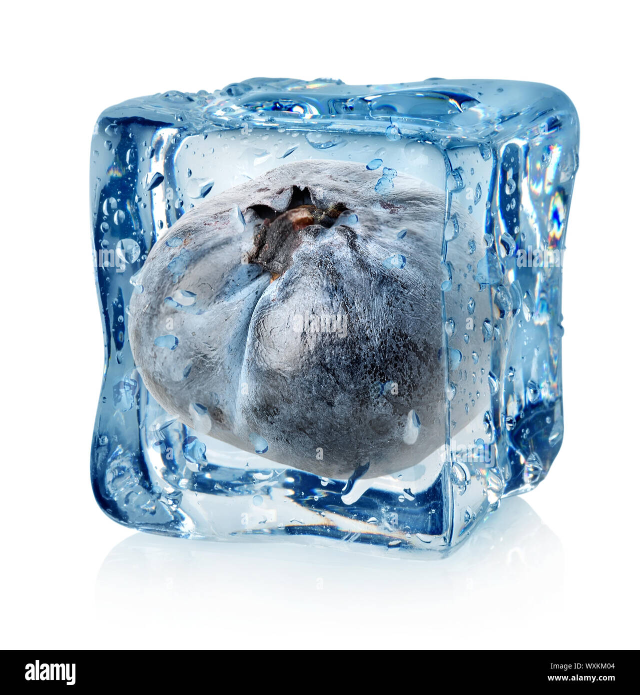 Blueberry in ice cube isolated on a white background Stock Photo - Alamy