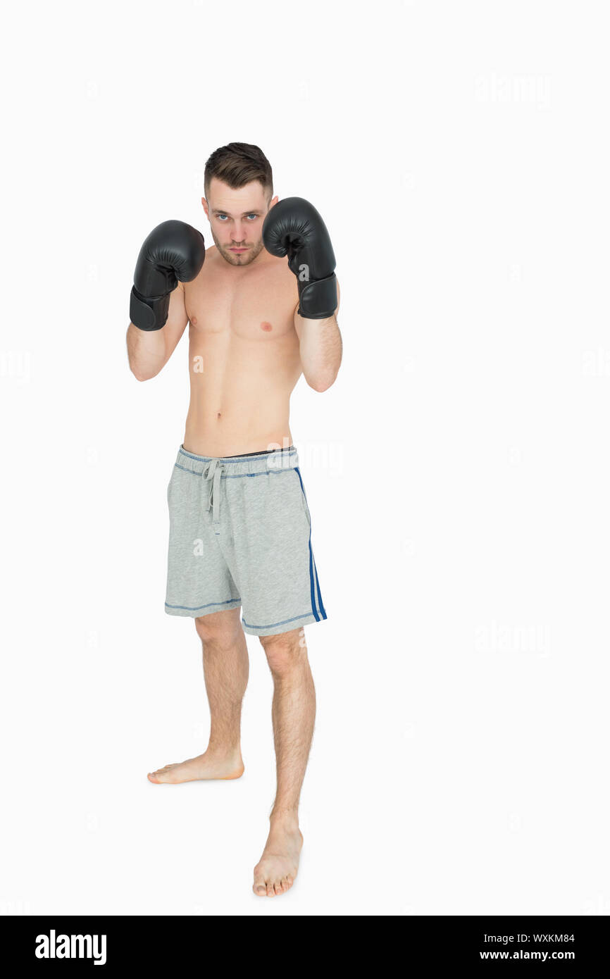 Portrait of shirtless young boxer in shorts over white background Stock ...
