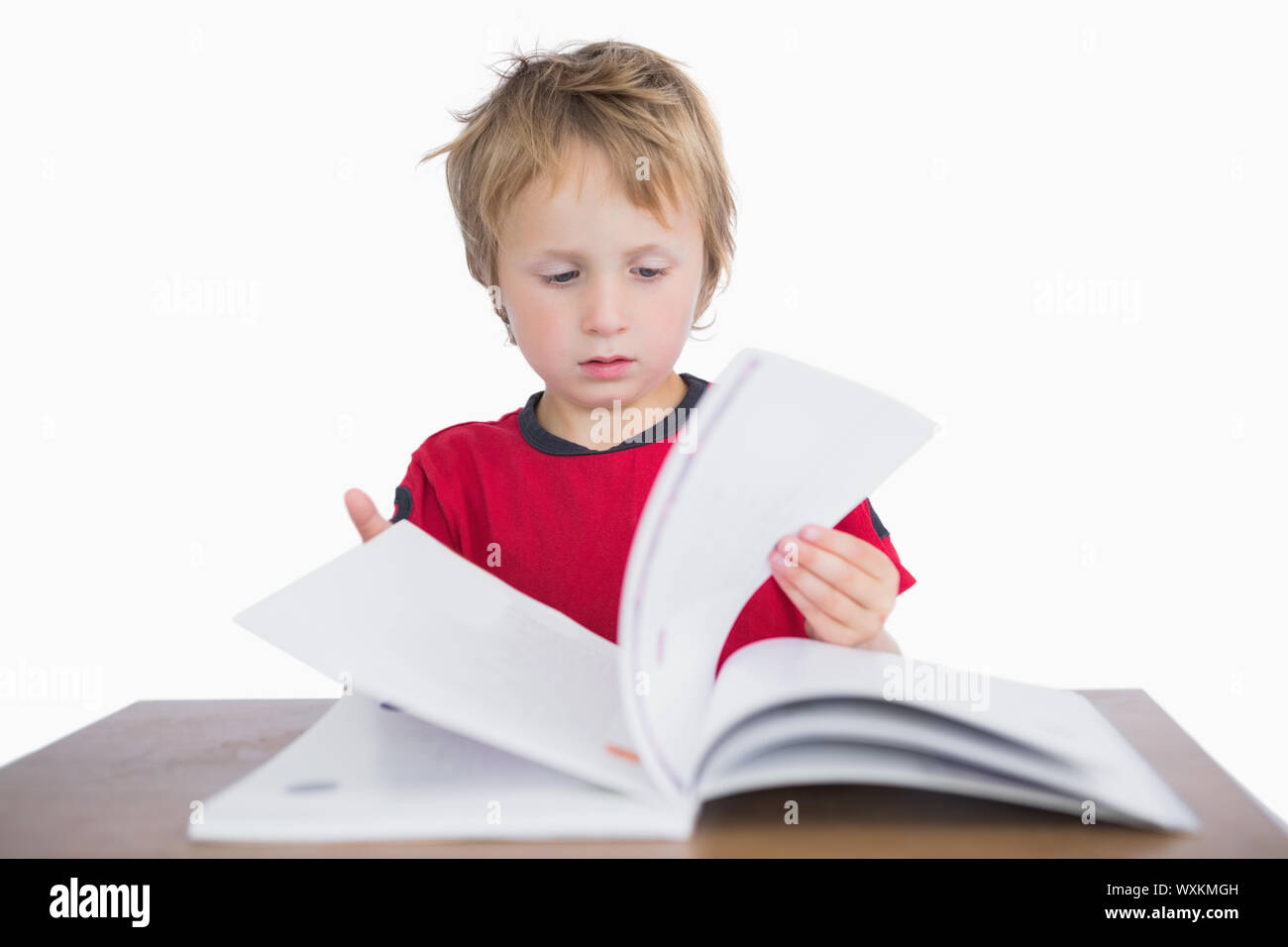 Little boy sitting at desk and reading book over white background Stock ...
