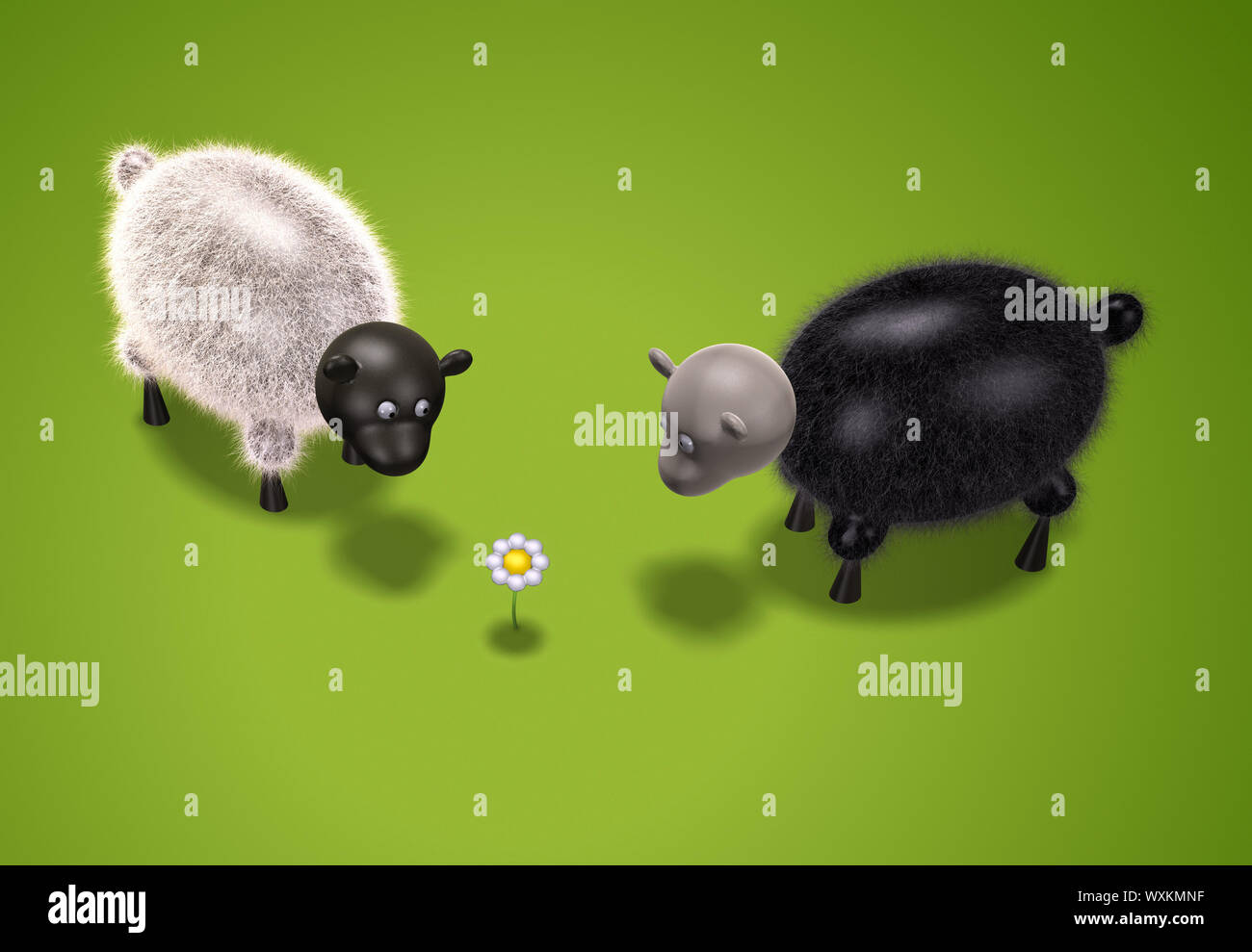 An image of two nice rendered sheep Stock Photo - Alamy