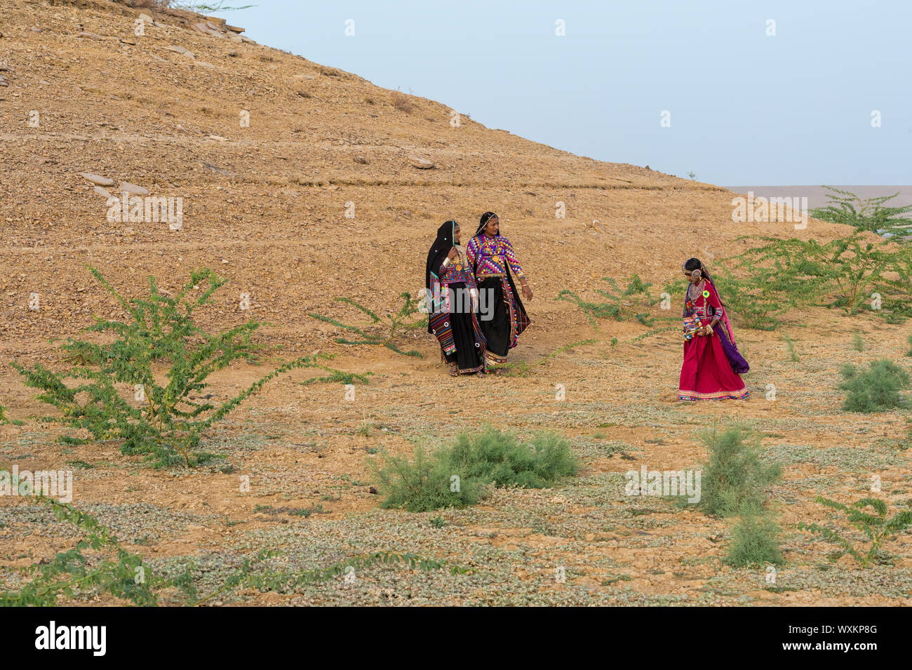 Three Rabari women in the desert, Great Rann of Kutch Desert, Gujarat ...