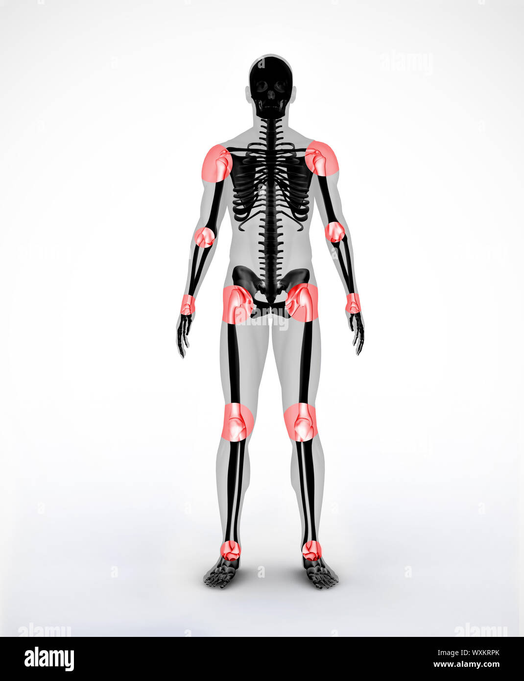 Black digital skeleton hi-res stock photography and images - Alamy