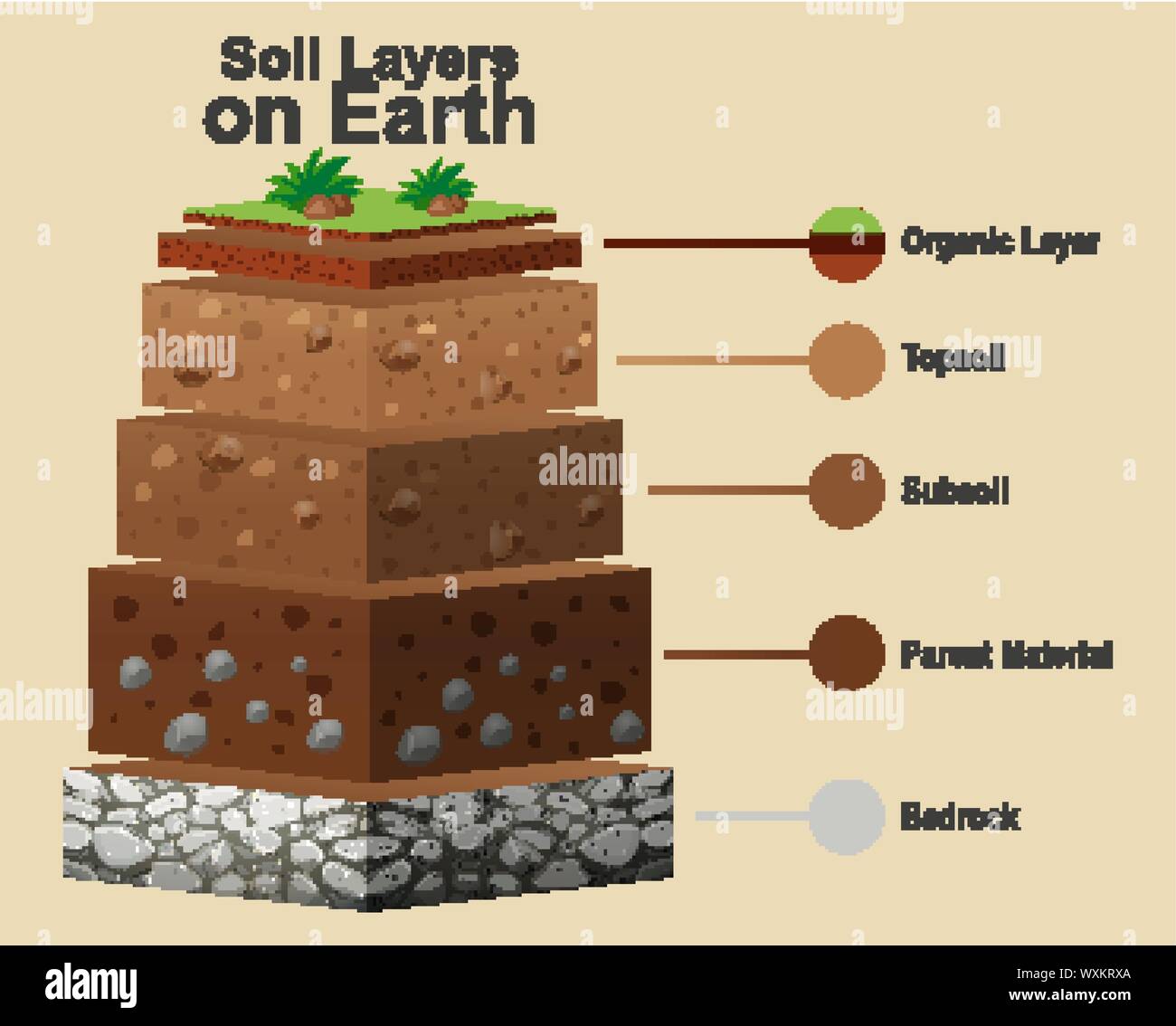 Diagram showing soil layers hi-res stock photography and images - Alamy