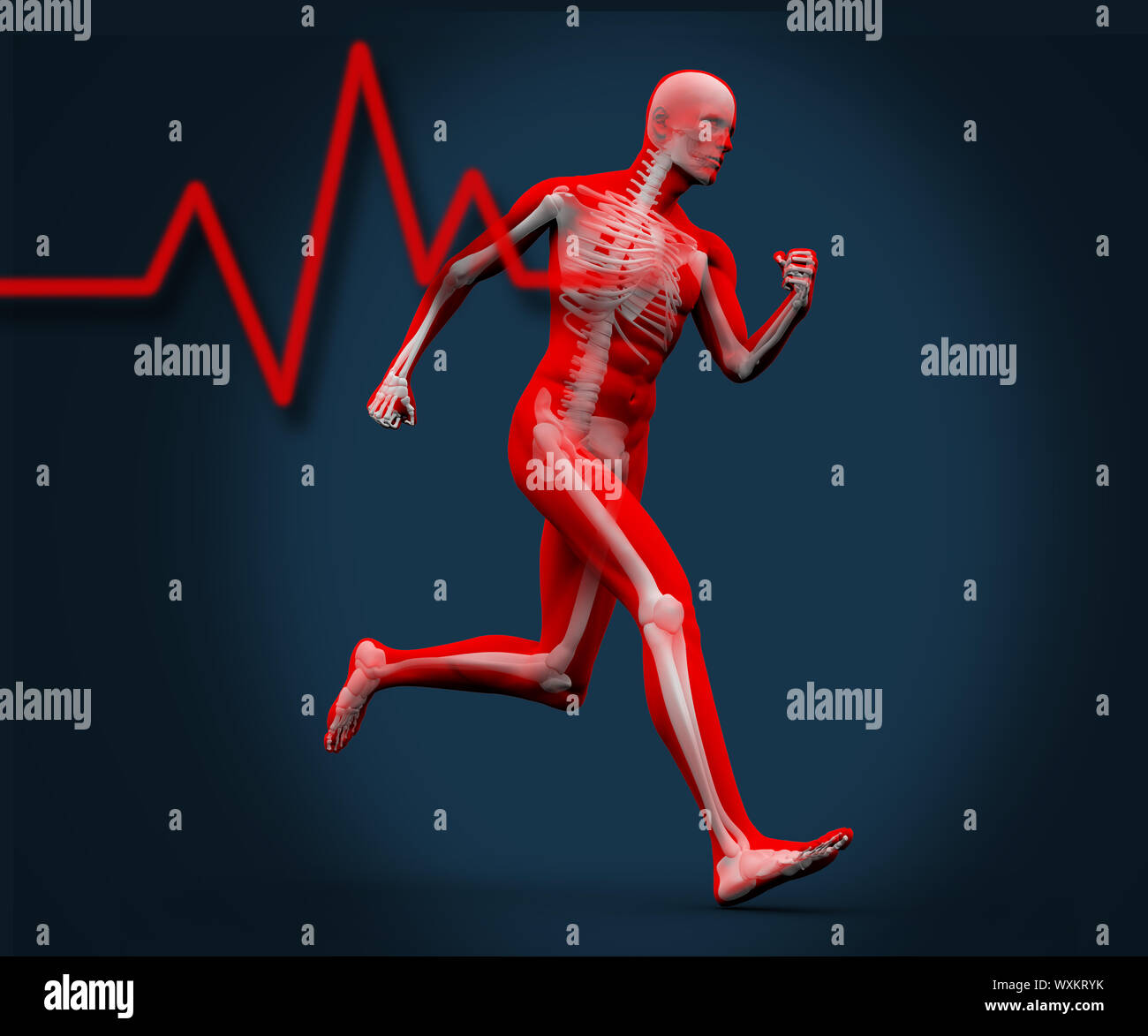 Strong digital body running with heart rate graphic Stock Photo - Alamy