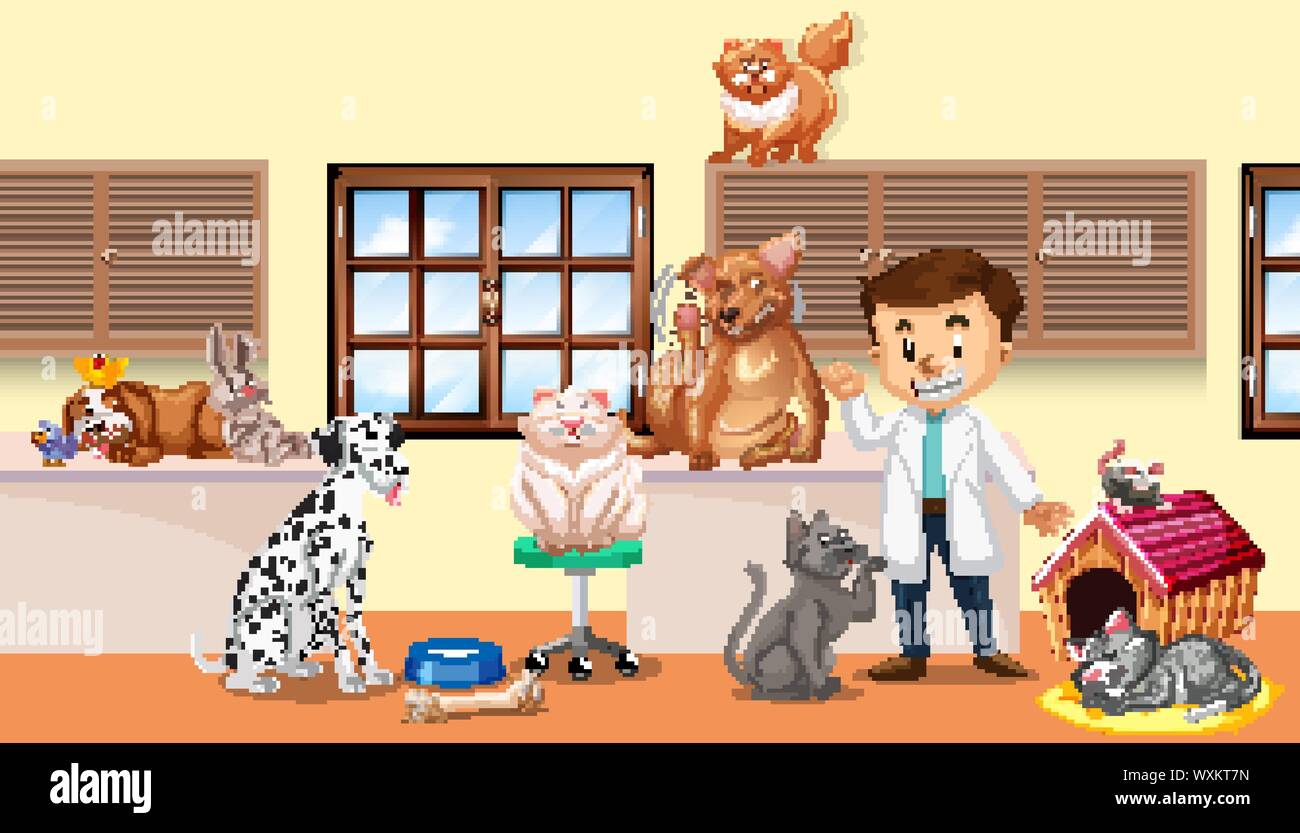 Veterinarian with sick animal illustration Stock Vector Image & Art - Alamy