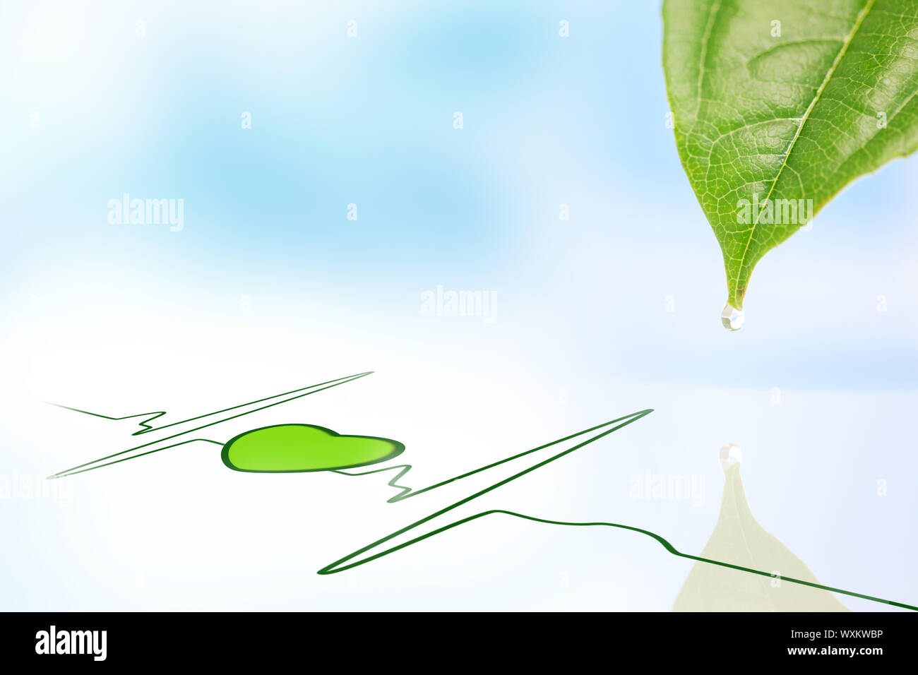 Dew drop falling from leaf onto green ECG line with heart symbol on ...