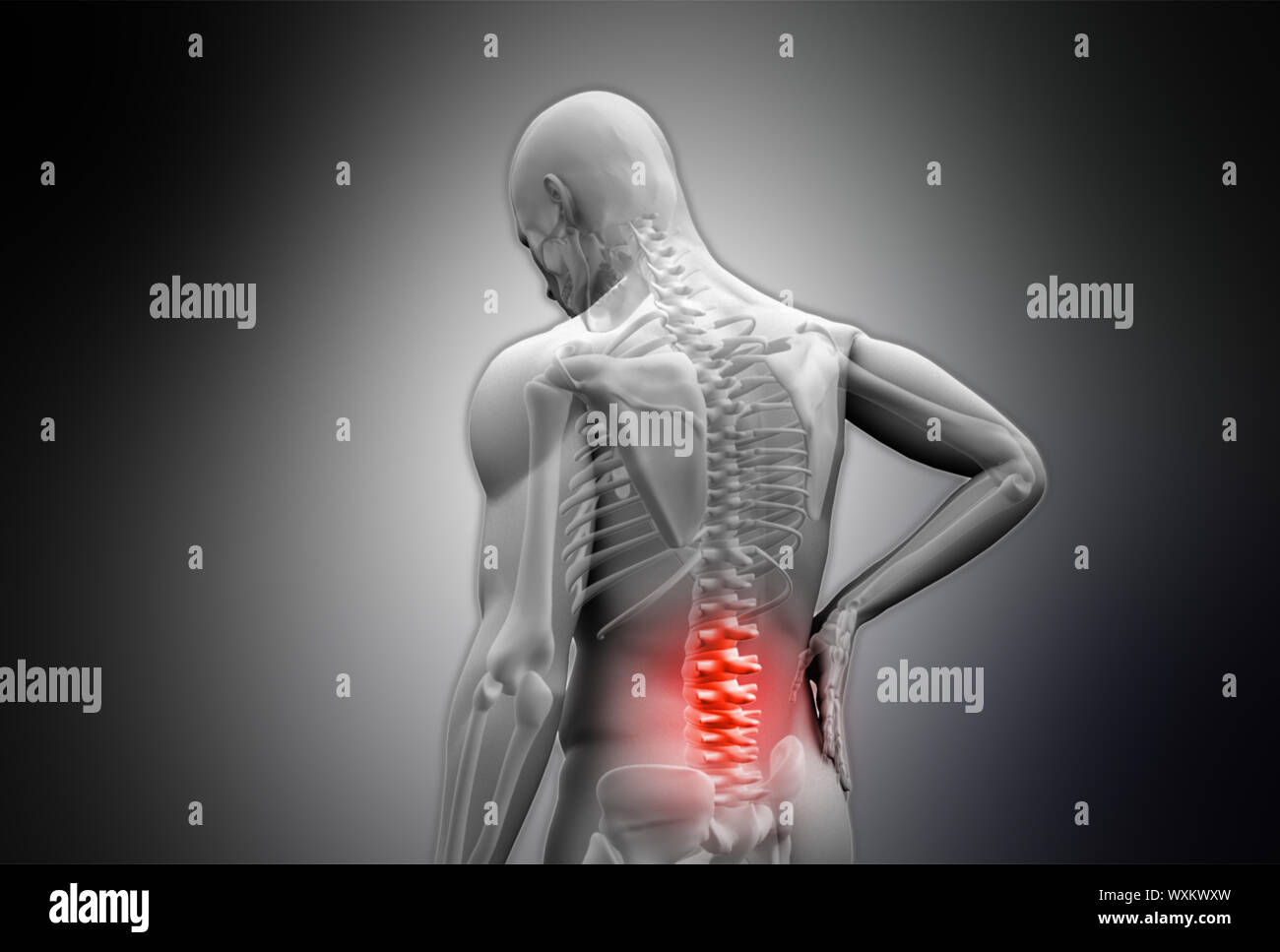 Digital grey human rubbing highlighted red back pain on black vignette ...